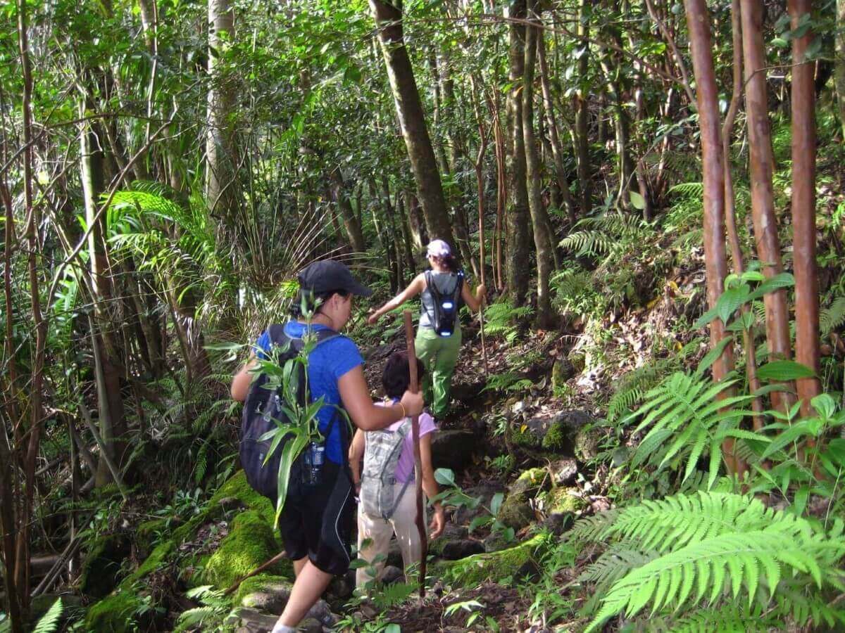 Huaka’I Nui ~ The Big Adventure - North Shore - Best Of Hawaii Tours ...